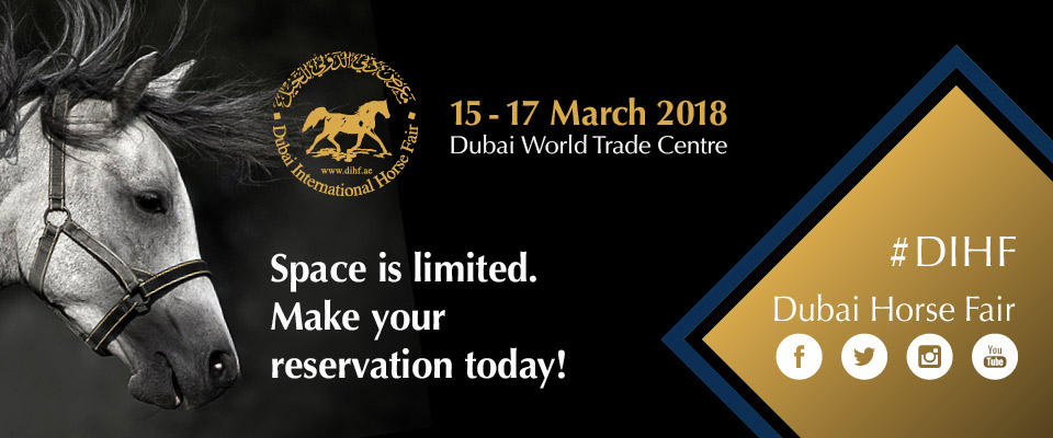 صحيفة الأصالة الإلكترونية | جمال الخيل العربية