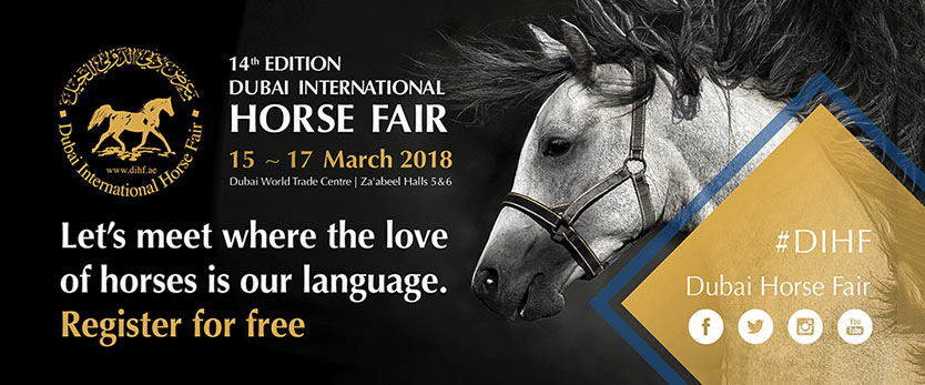 صحيفة الأصالة الإلكترونية | جمال الخيل العربية