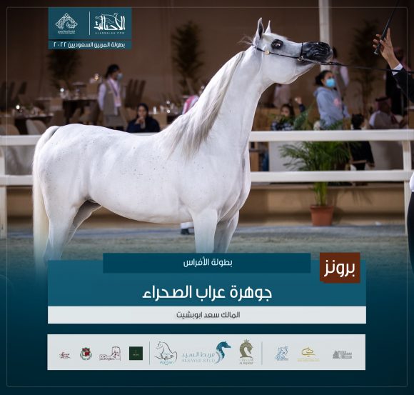 3rd Stand | صحيفة الأصالة الإلكترونية